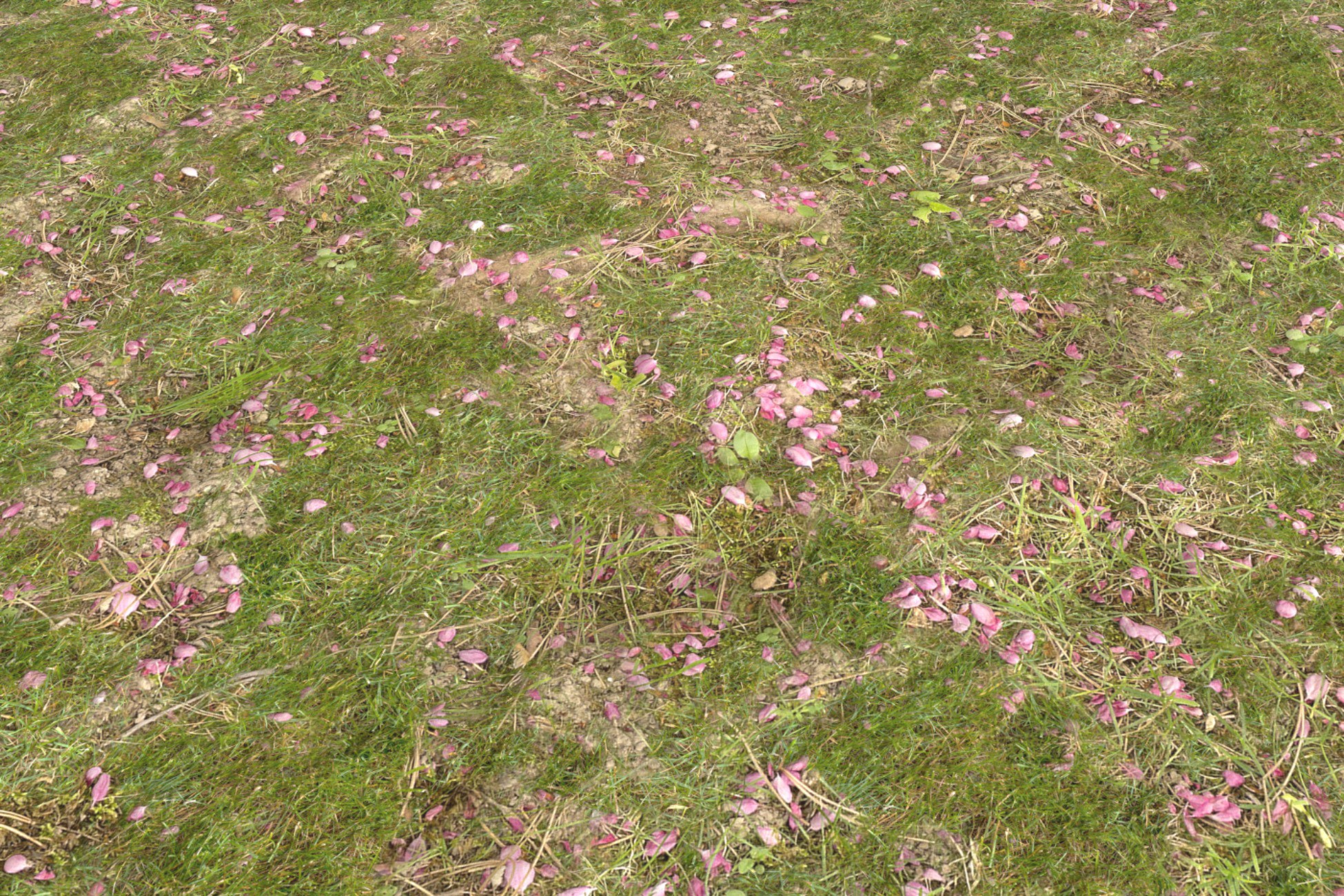 Forest Ground Textures 8 by 32cm