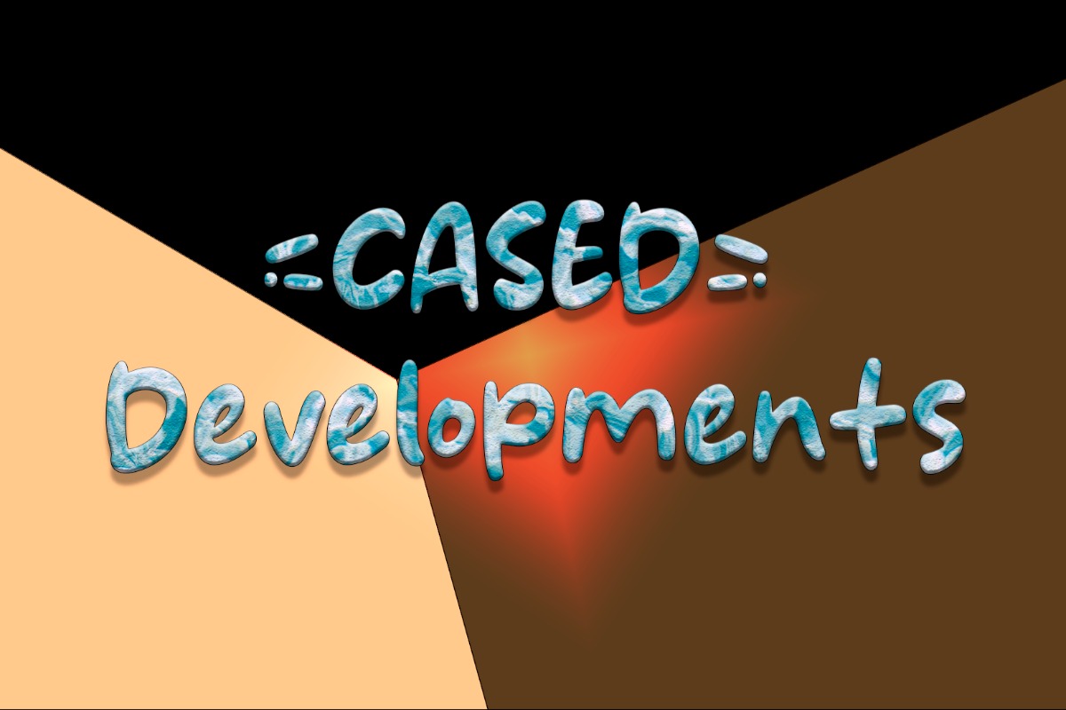 Cased The Coder Asset Store