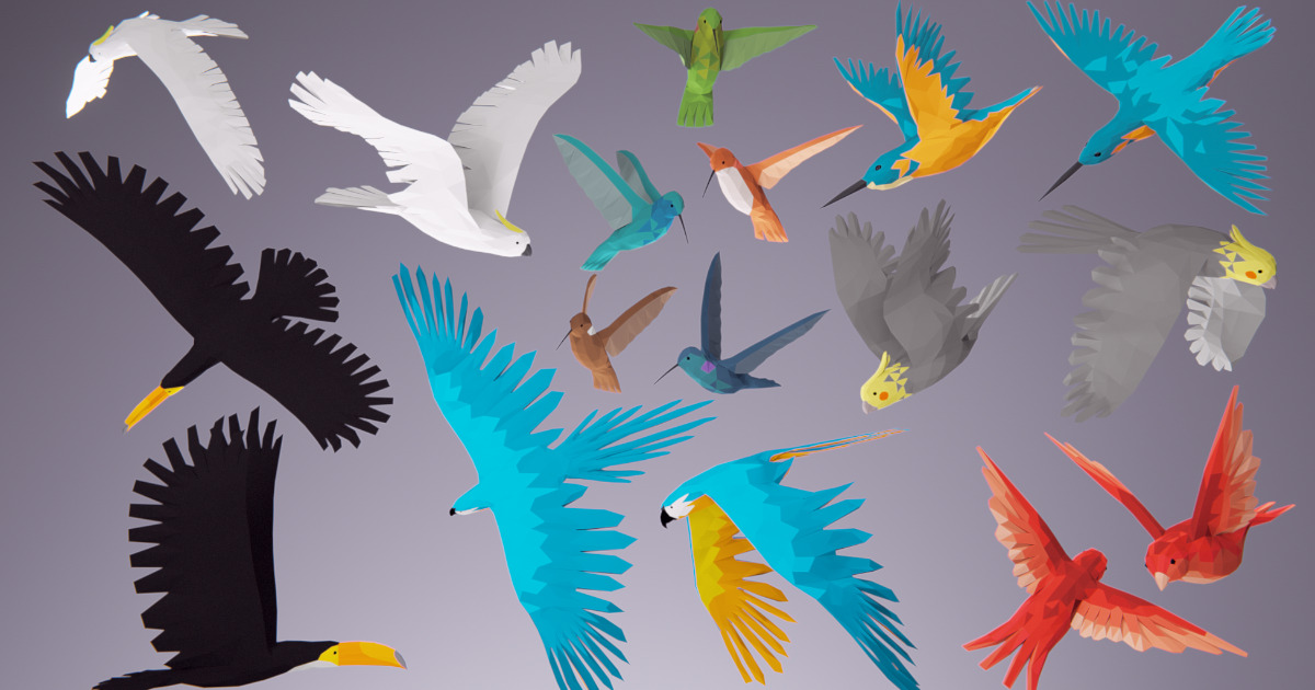 Low Poly Bird: Exotic Pack | Characters | Unity Asset Store