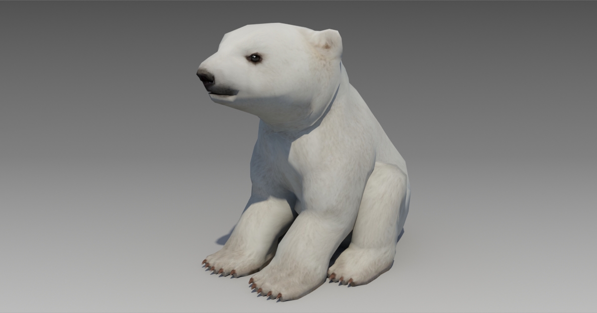 Polar bear Cub | Characters | Unity Asset Store
