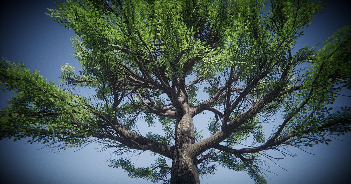 Big Oak Tree (HDRP/URP) | 3D Vegetation | Unity Asset Store