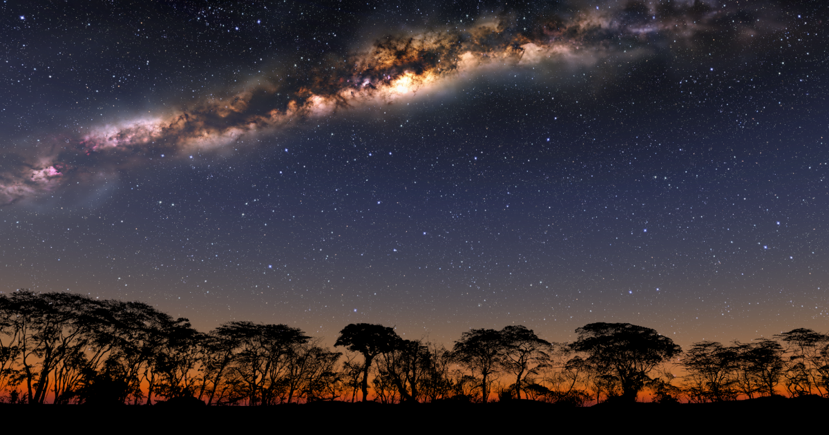 Modular Backgrounds - Silhouette | 3D Landscapes | Unity Asset Store