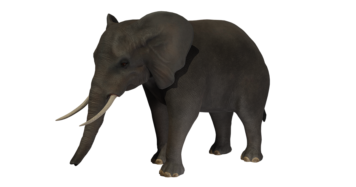 African Elephant | Characters | Unity Asset Store