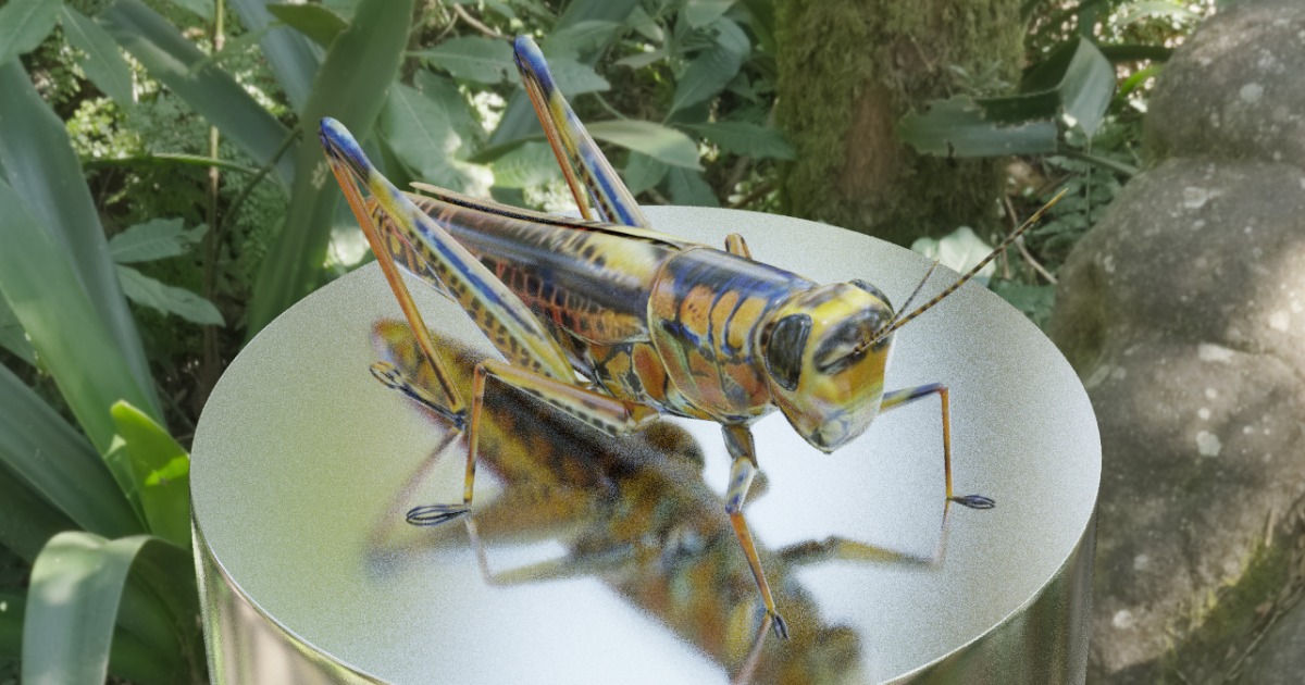 Insects and Arachnids (pack 2) | Characters | Unity Asset Store