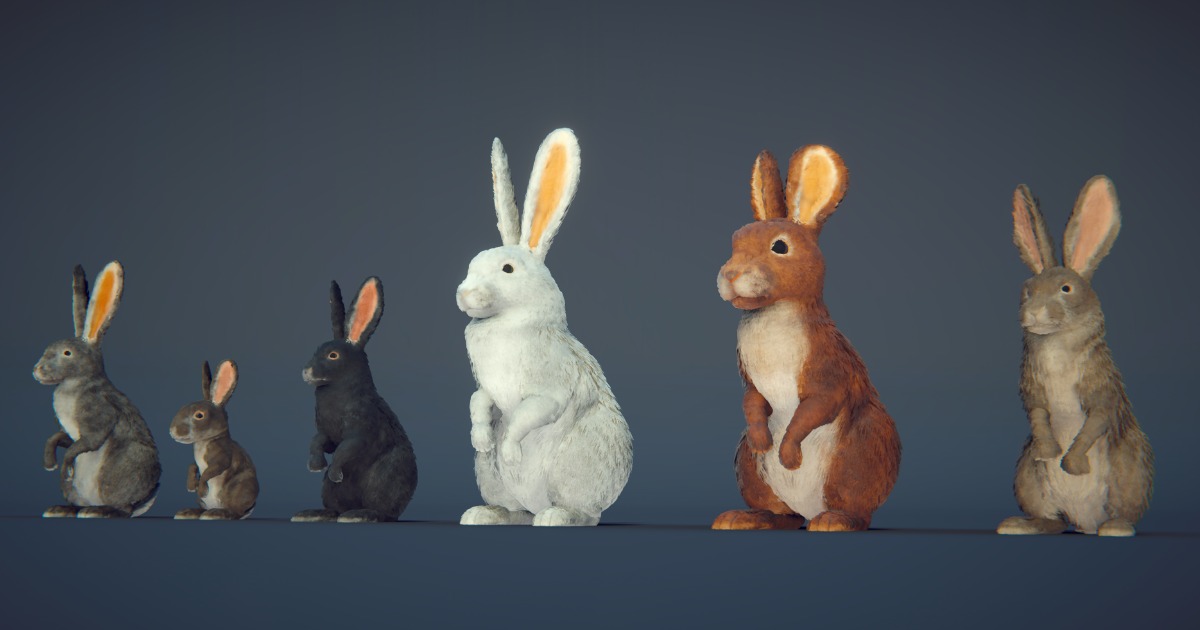 Realistic Rabbits | 3D Animals | Unity Asset Store