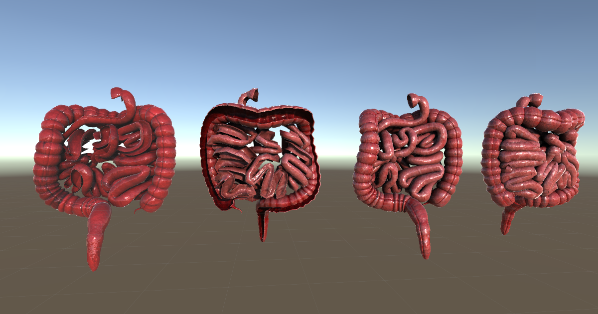Human Intestines Full Pack | 3D | Unity Asset Store
