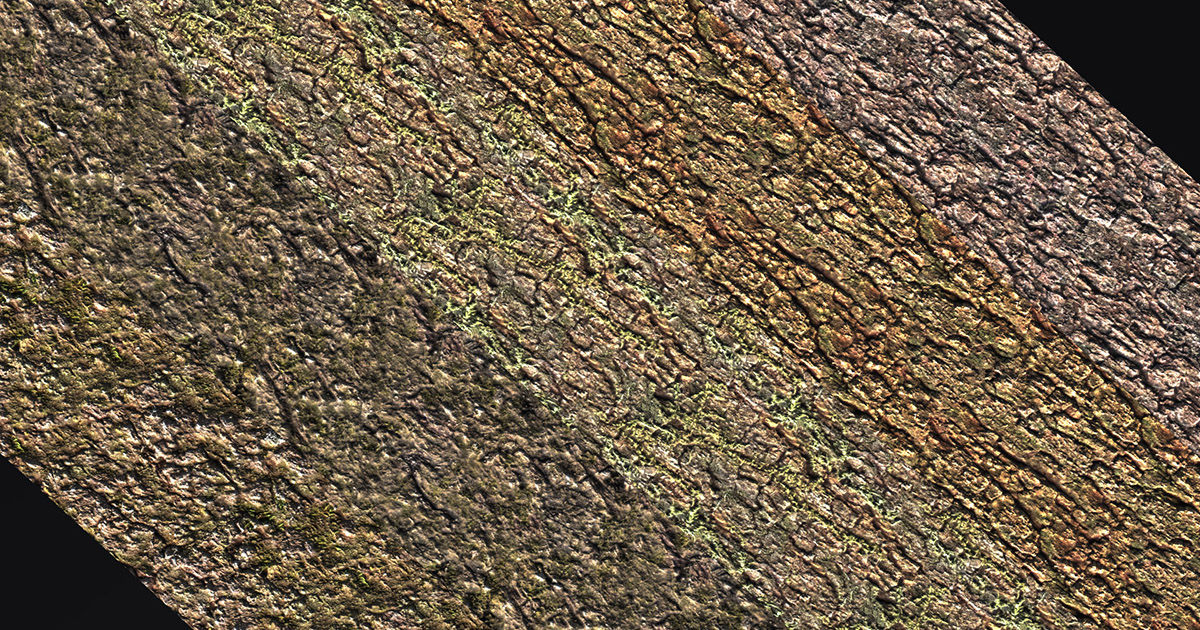 Bark Textures (PBR) - Volume One | 2D Nature | Unity Asset Store