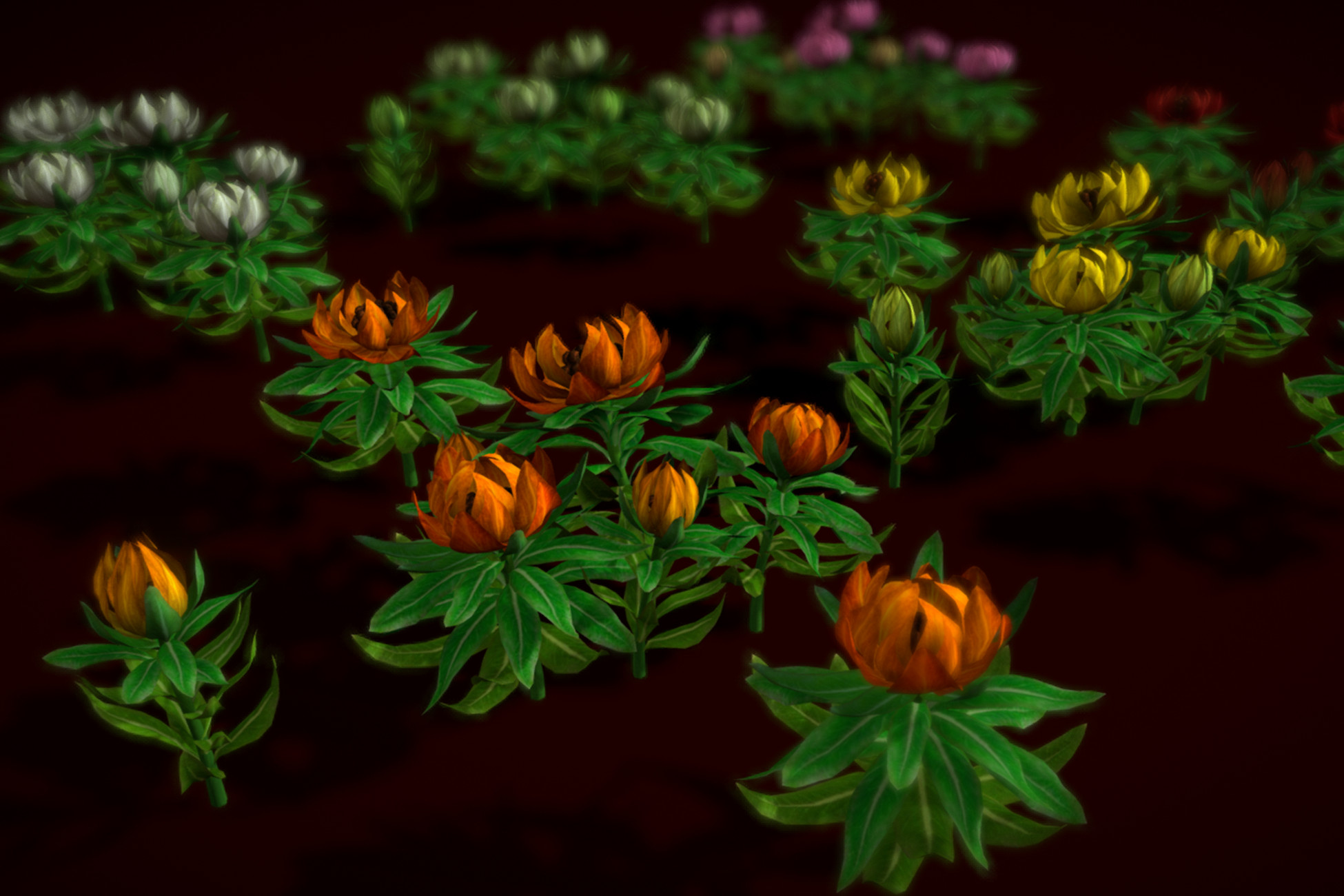 Flower Saussurea Involucrata | 3D Flowers | Unity Asset Store