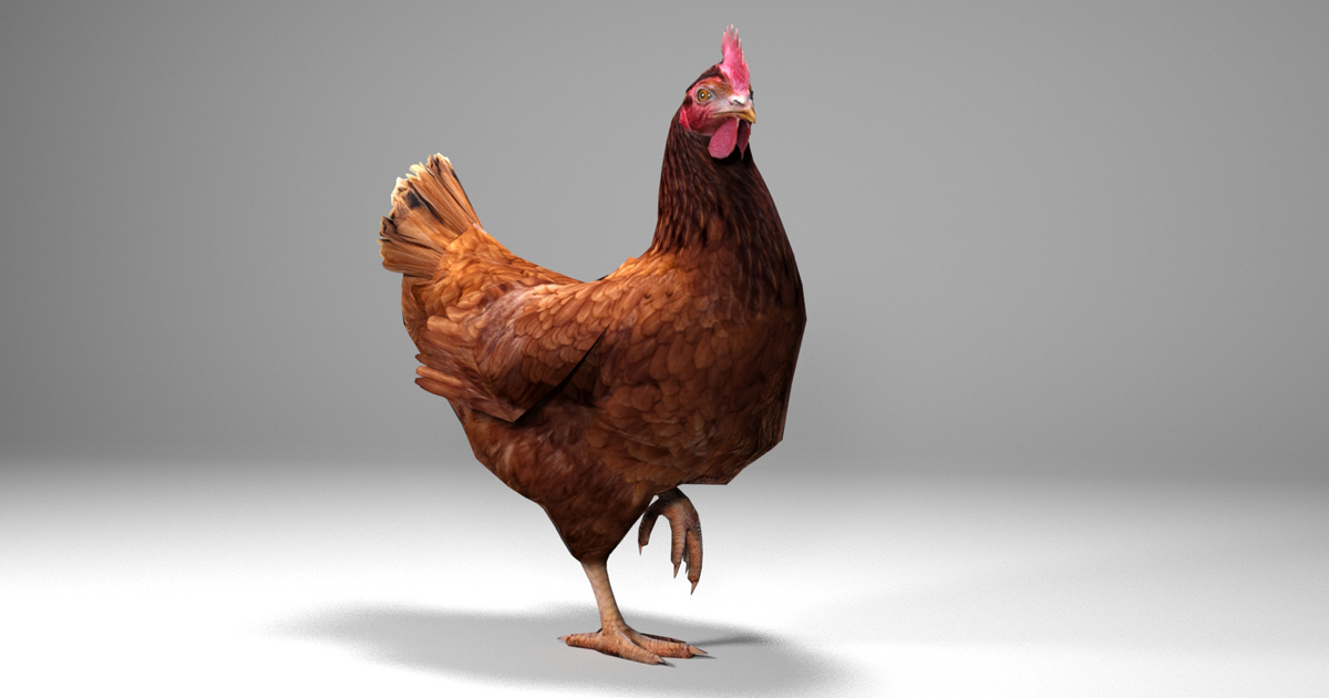Chicken Animated | Characters | Unity Asset Store