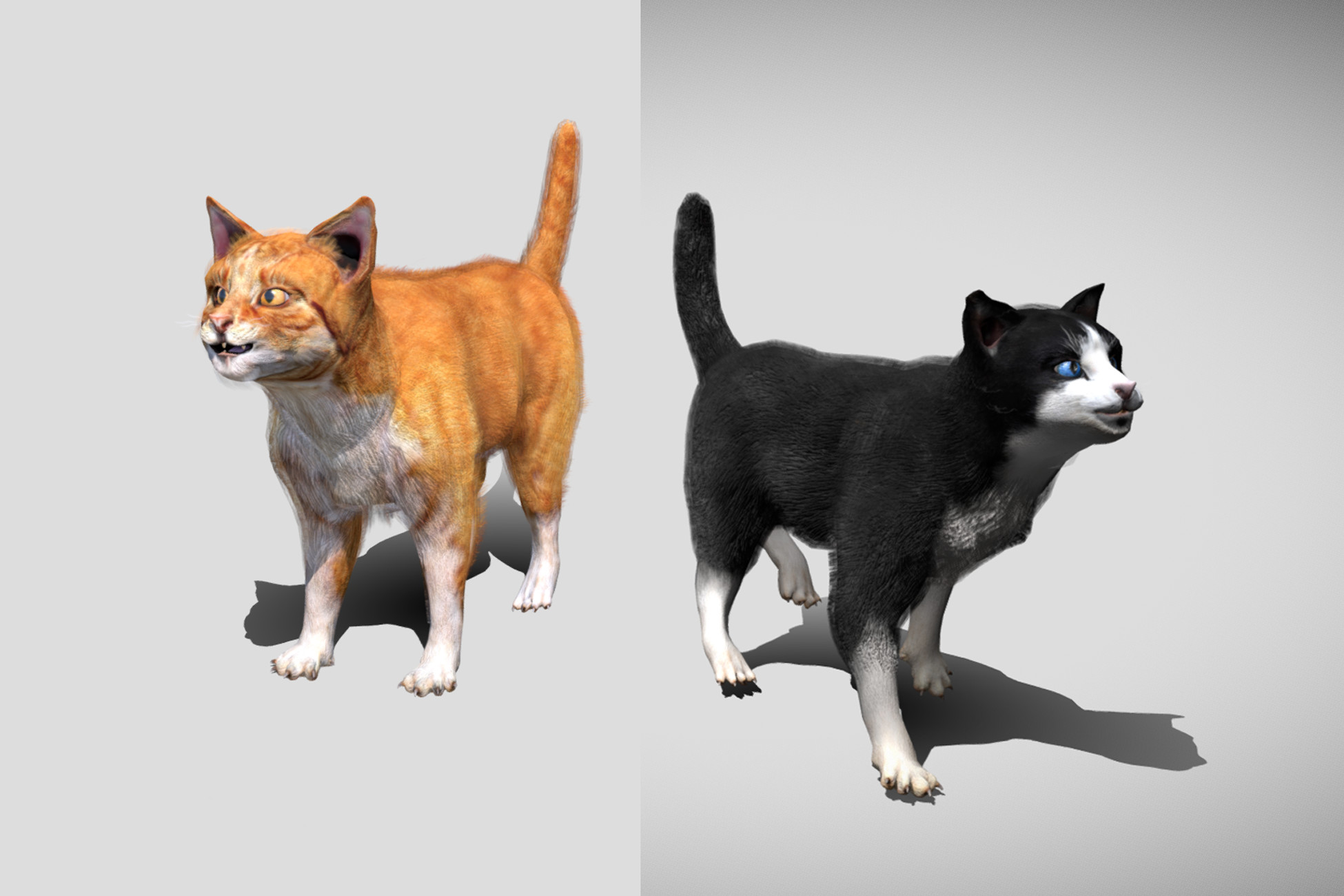 Cats | 3D Animals | Unity Asset Store