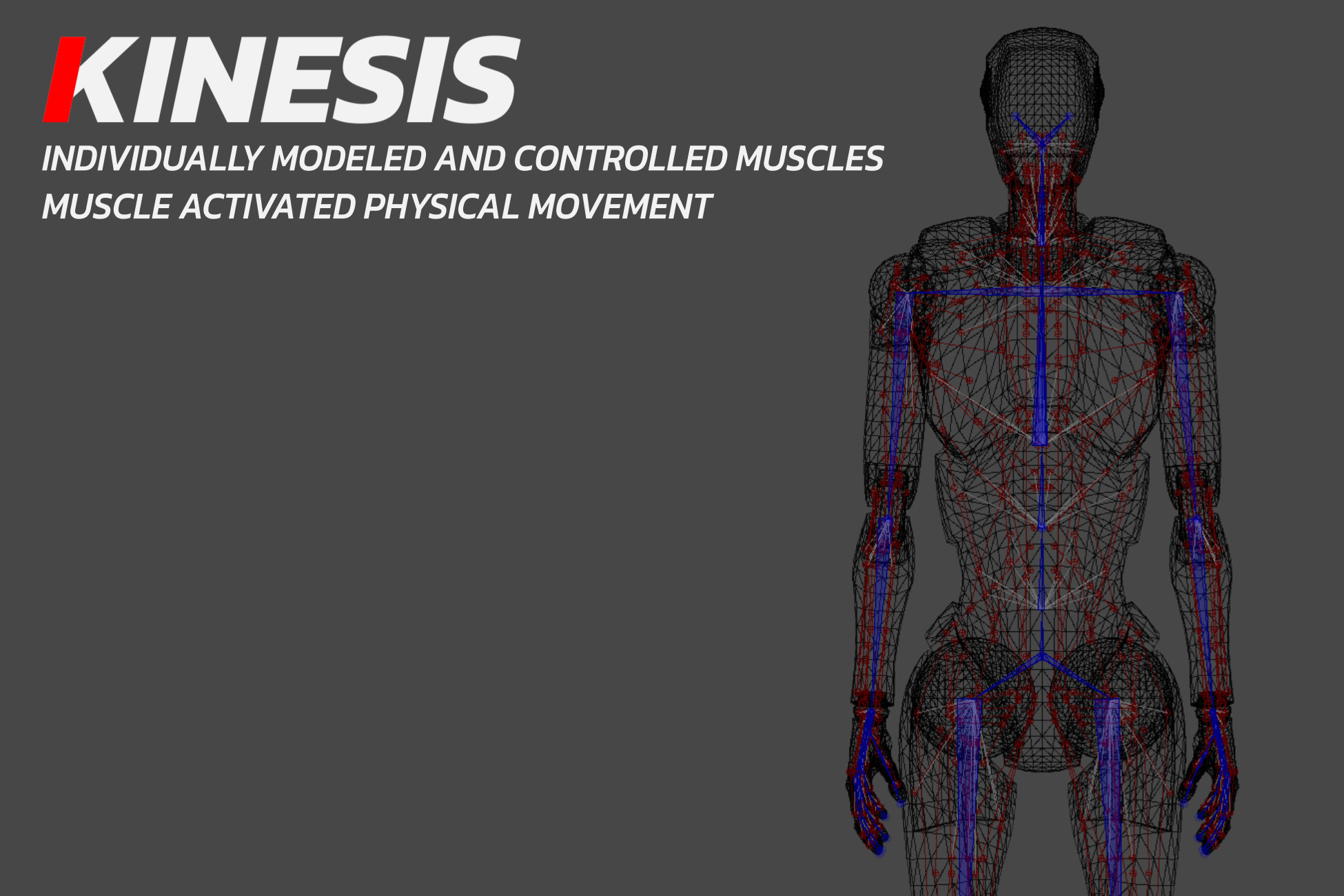 Kinesis - Physical Muscle Model Based Movement | Physics | Unity Asset Store