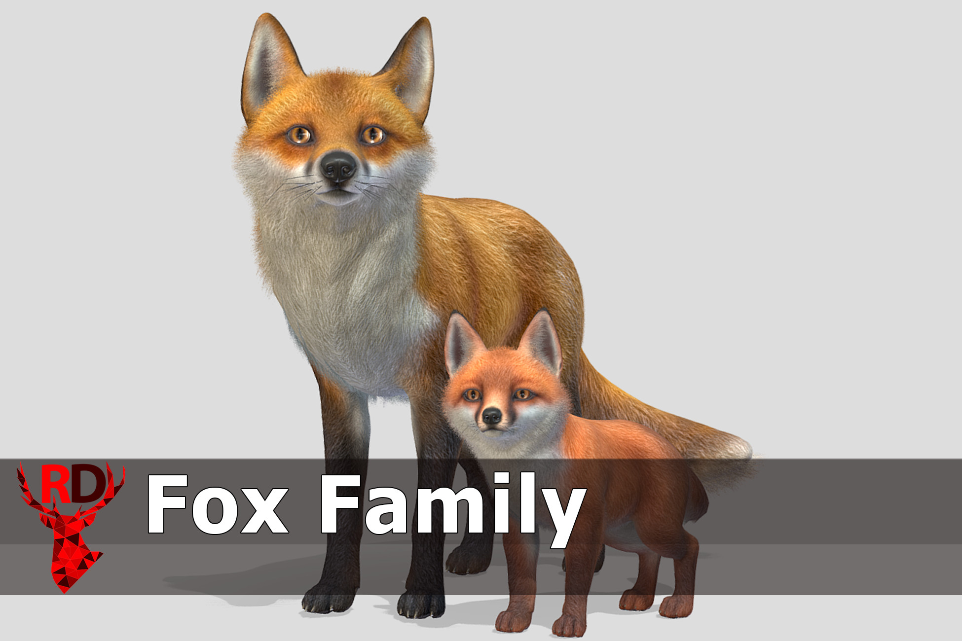 Fox - Family | Characters | Unity Asset Store