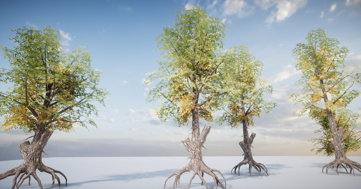 HDRP Tree Pack 6 | 3D 樹木 | Unity Asset Store