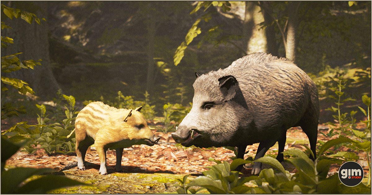 Animalia - Wild Boar (pack) | Characters | Unity Asset Store