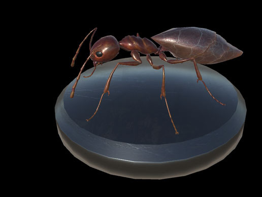 One Ant-Queen Ant | Characters | Unity Asset Store