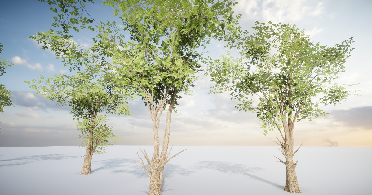HDRP Tree Pack 9 | 3D Trees | Unity Asset Store