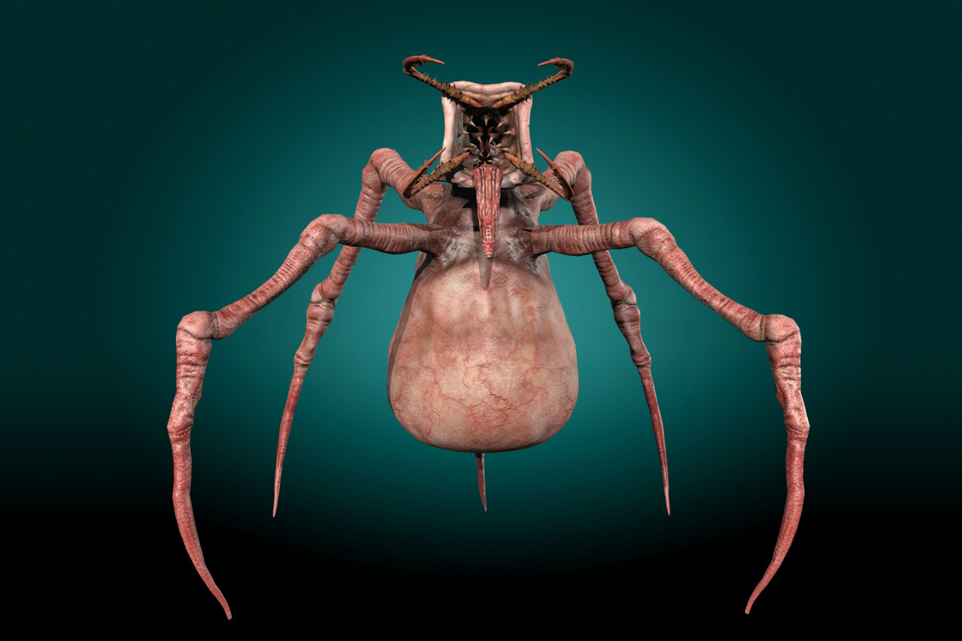 Poisonous Insect Monster | 3D 生物 | Unity Asset Store