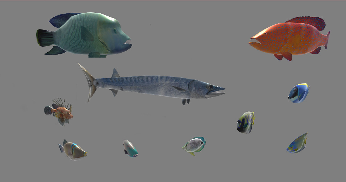 Tropical reef fish | Characters | Unity Asset Store