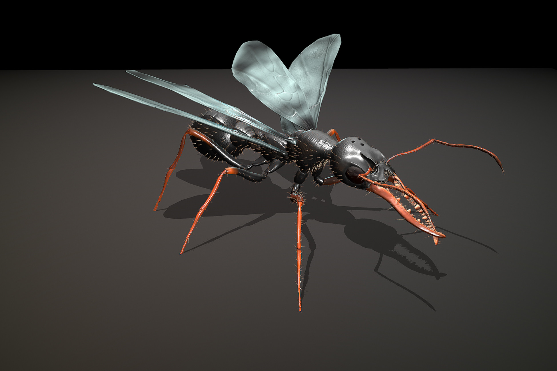Ant Bulldog Wings | Characters | Unity Asset Store