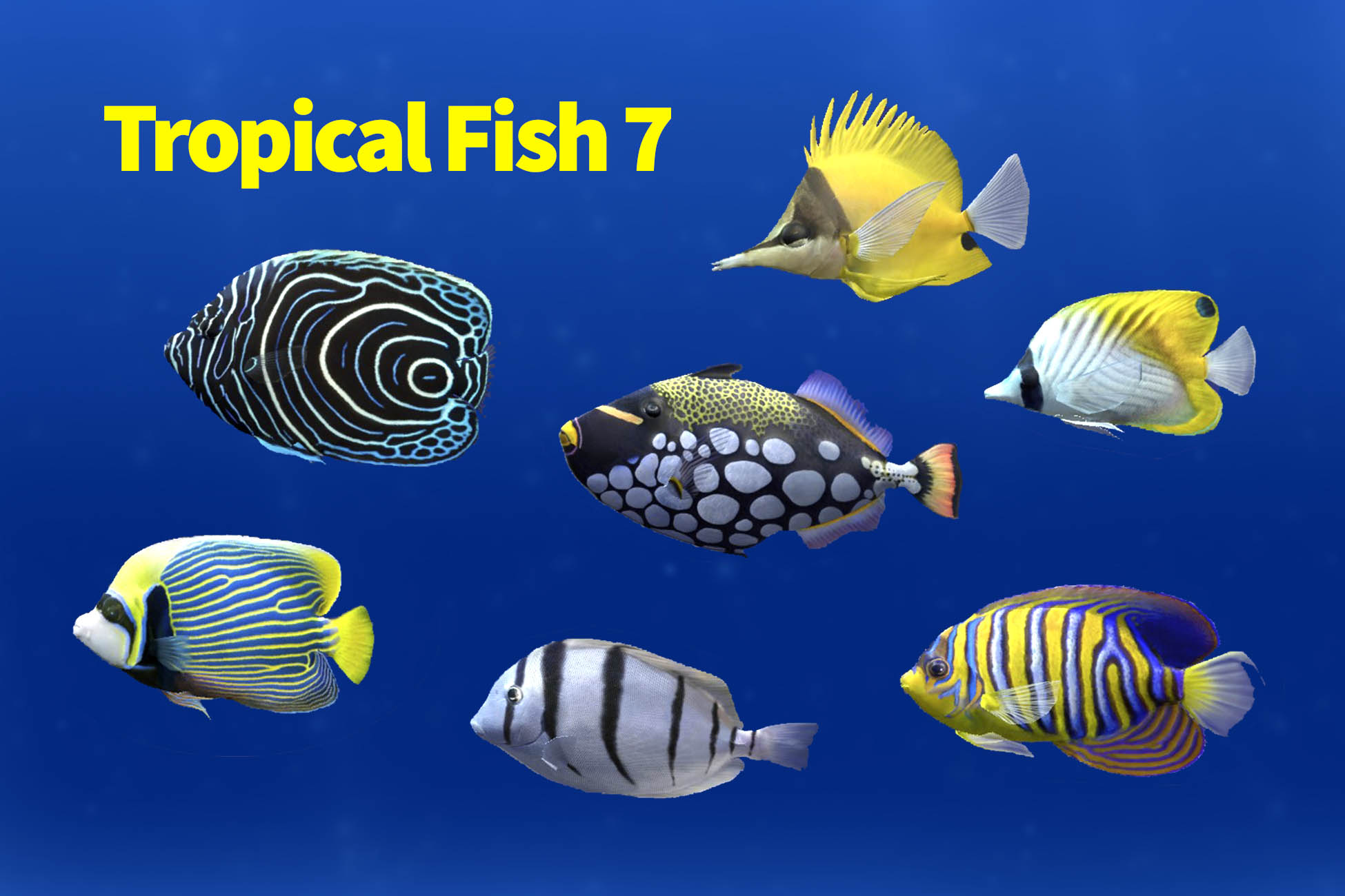 Tropical Fish 7 | Characters | Unity Asset Store