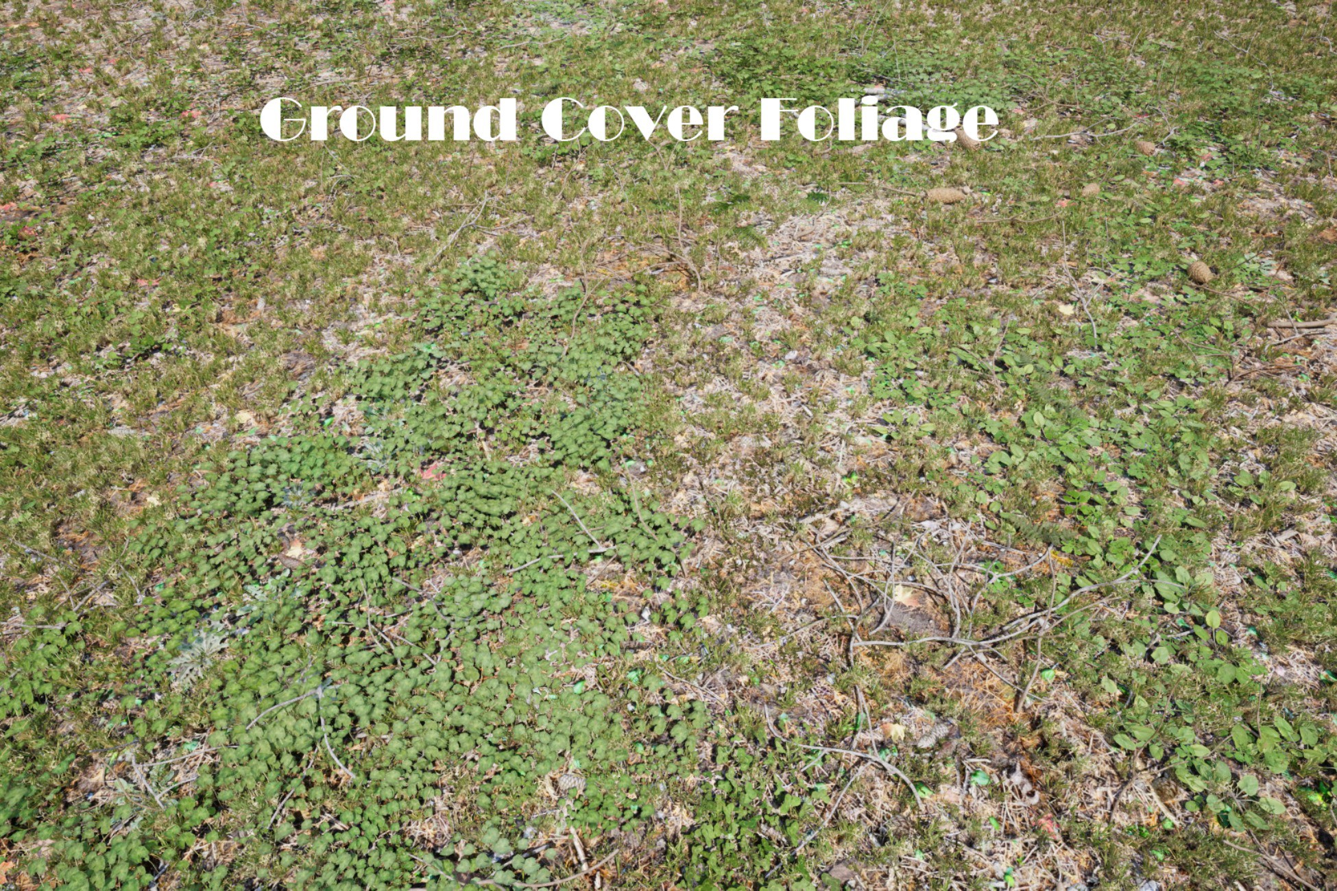 Ground Cover Foliage | 3D Plants | Unity Asset Store