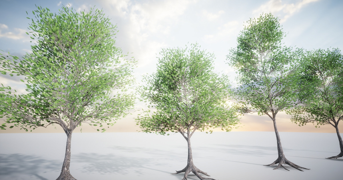HDRP Tree Pack 10 | 3D Trees | Unity Asset Store