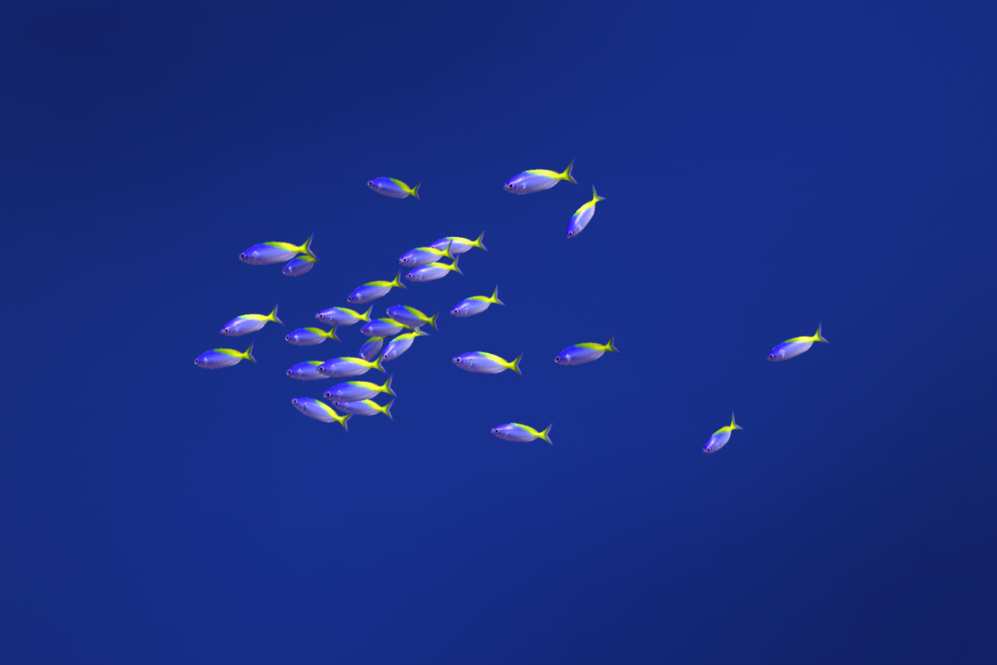 Fusiliers School Fish | Characters | Unity Asset Store