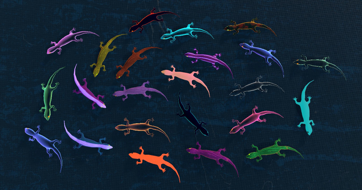 Ella : The Lizard's (SUPER pack 3D) | 3D Characters | Unity Asset Store