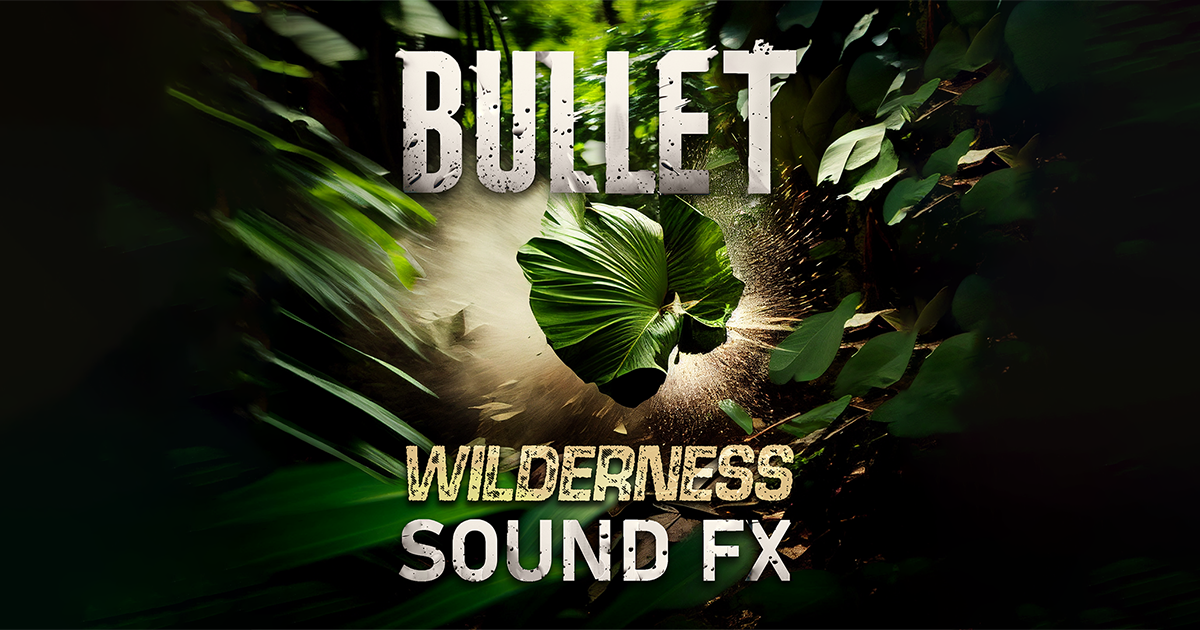Bullet Sound FX - Wilderness Bundle | Audio Sound FX | Unity Asset Store