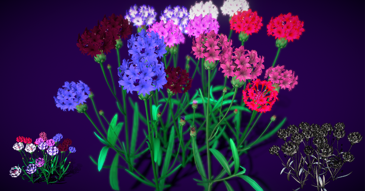 Flower Centaurea | 3D 花 | Unity Asset Store