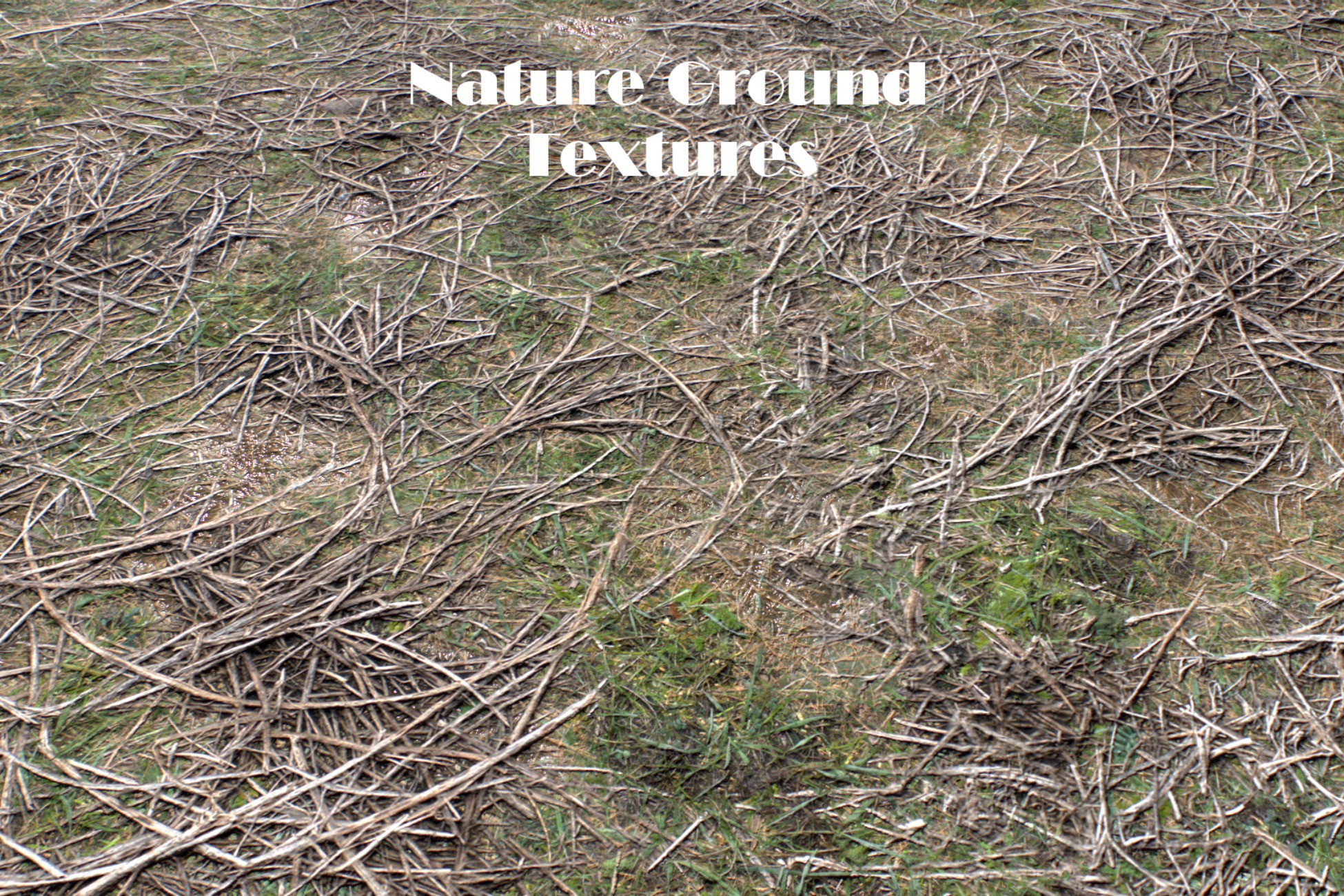 Nature Ground Textures | 2D 自然物 | Unity Asset Store