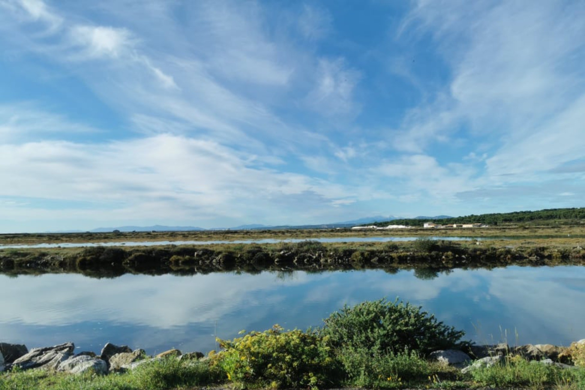 Nature Sounds Pack - Free | Audio Sound FX | Unity Asset Store