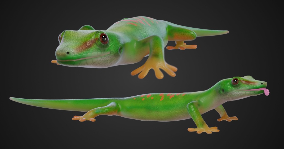 Animated Gecko | Characters | Unity Asset Store