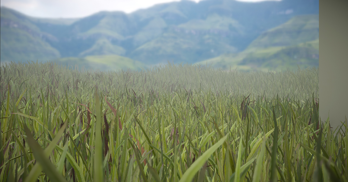 Grass Collection v1 | 3D Vegetation | Unity Asset Store