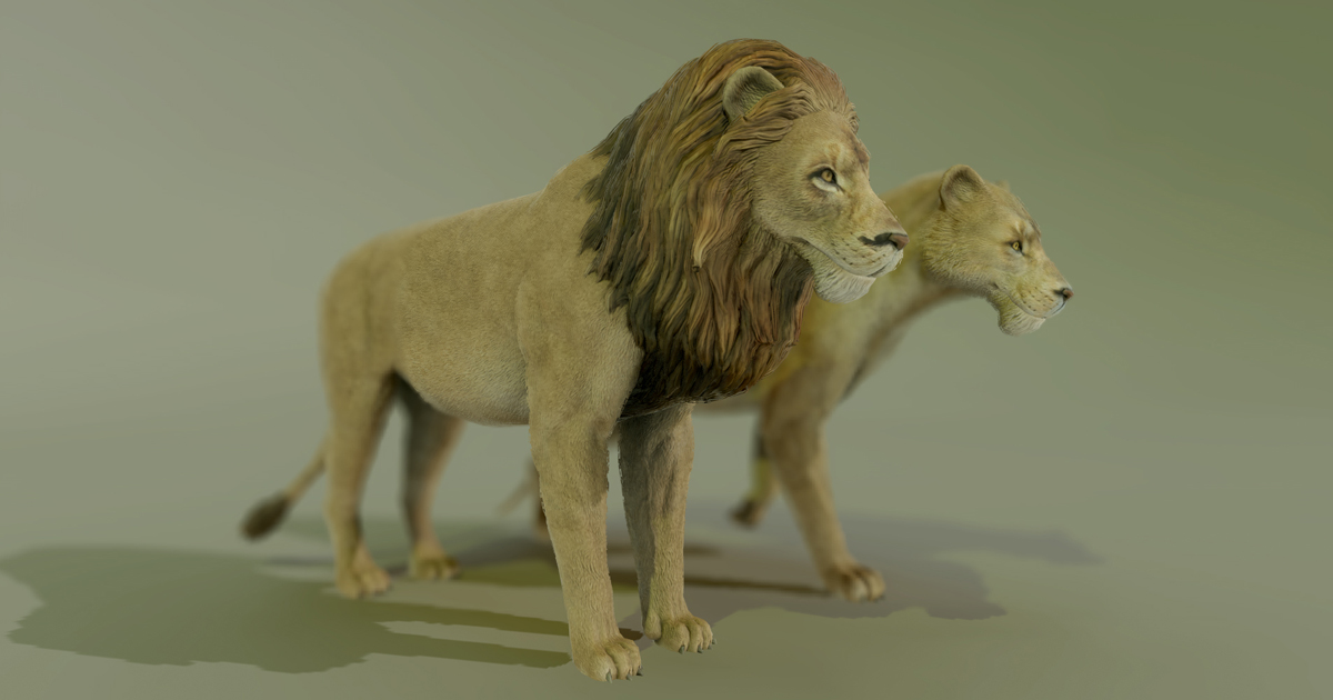 LION & LIONESS | Characters | Unity Asset Store