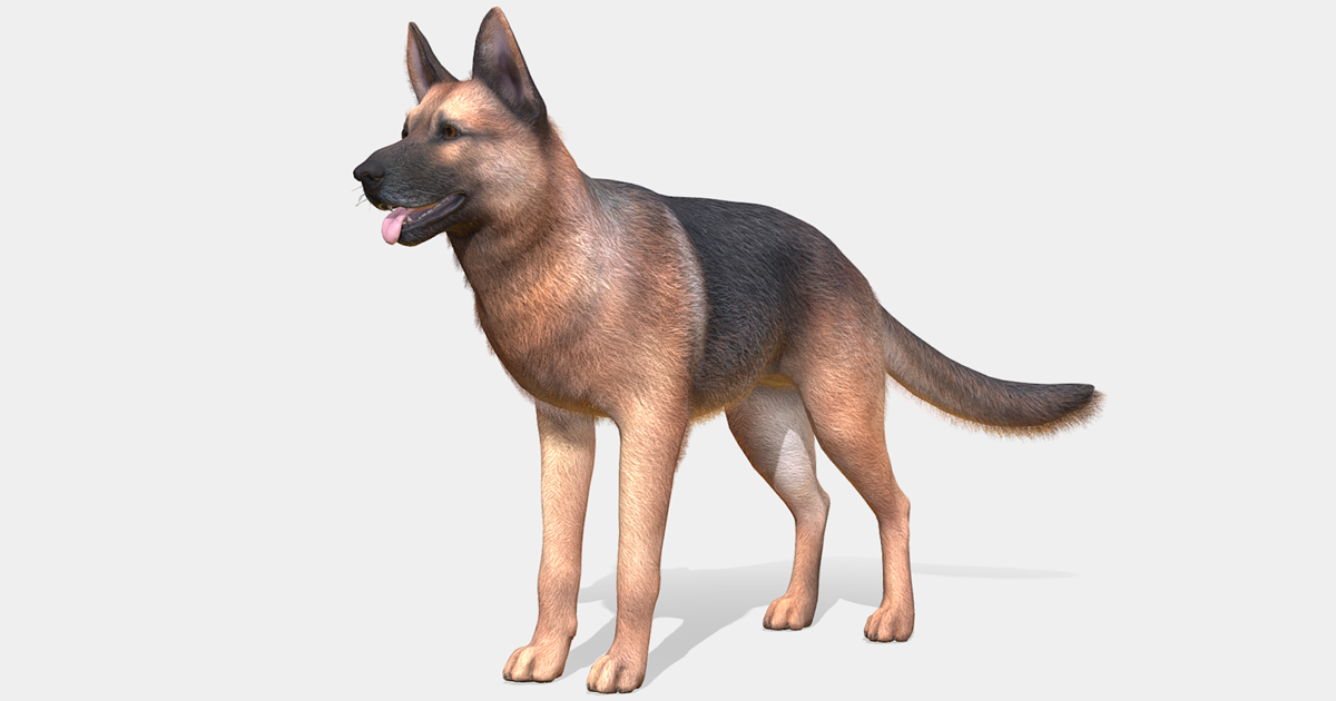 Dog - Shepherd | 3D Animals | Unity Asset Store