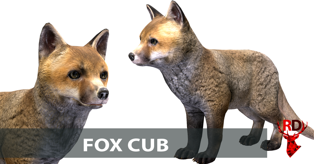 Fox cub | Characters | Unity Asset Store