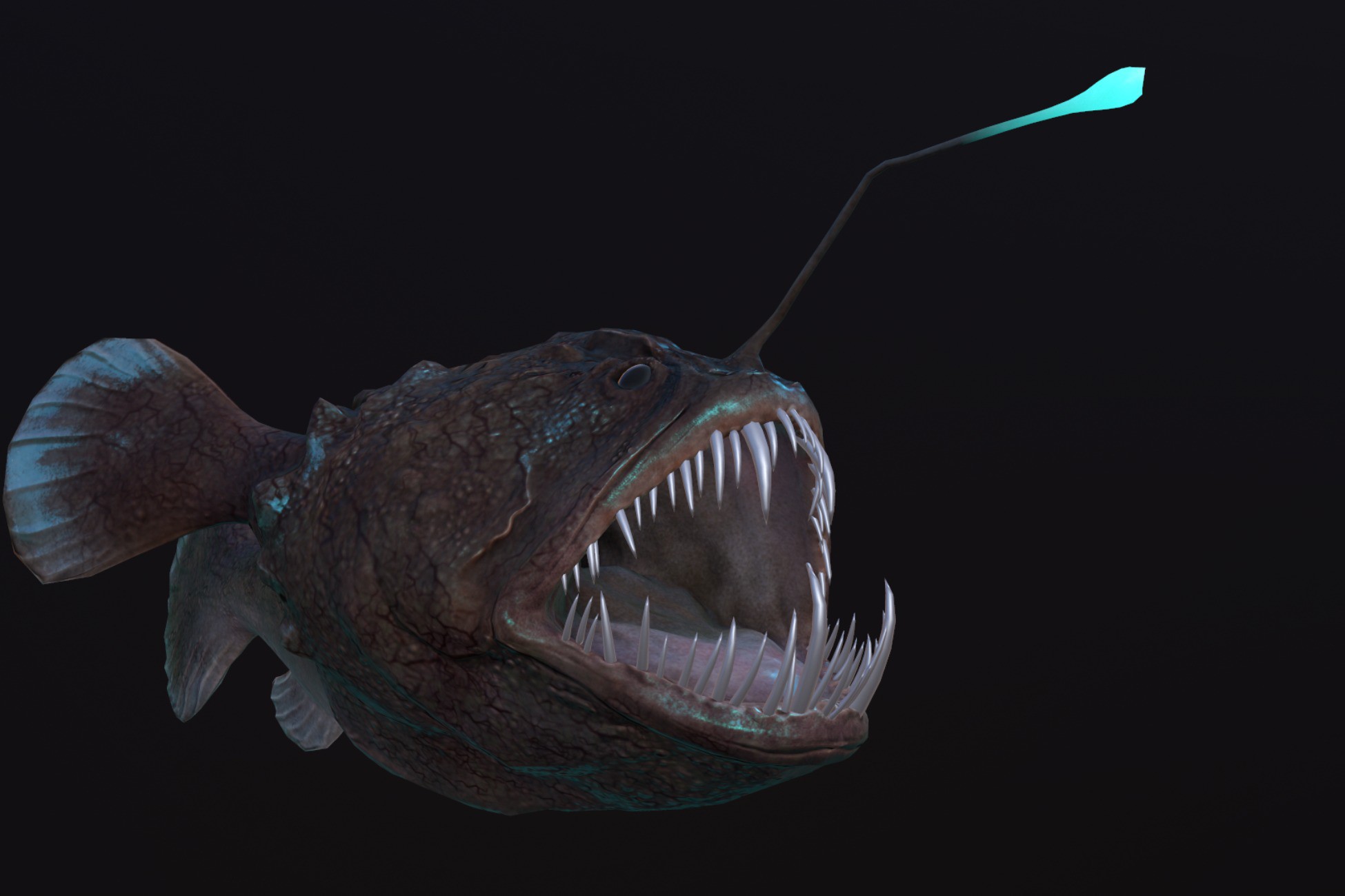 Animated Angler Fish monkfish | 캐릭터 | Unity Asset Store