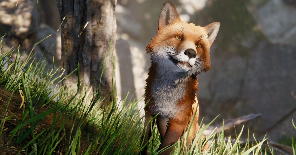 Realistic Fox | 3D Animals | Unity Asset Store