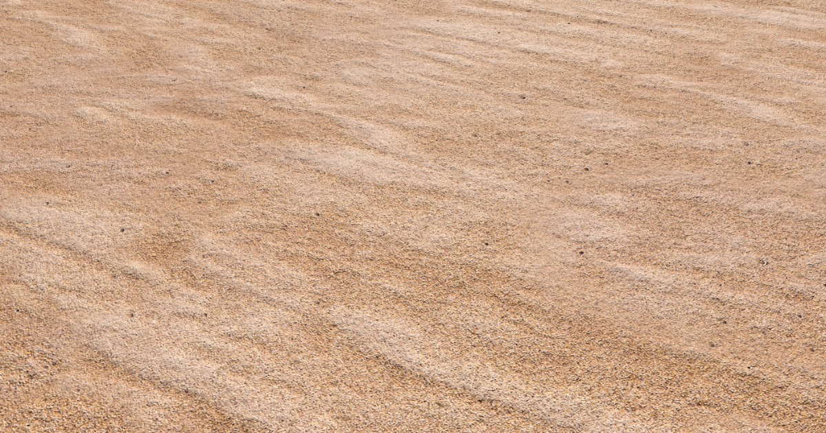 Desert Beach or Wasteland Sand textures | 2D Textures & Materials ...