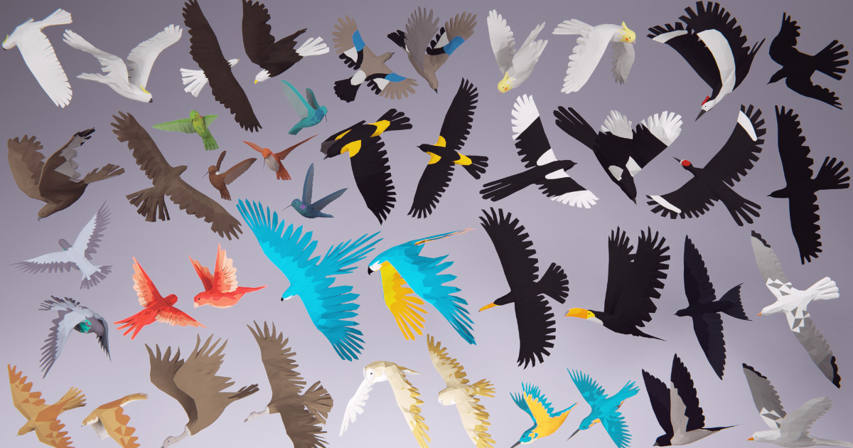 Low Poly Bird: Ultimate Pack | Characters | Unity Asset Store