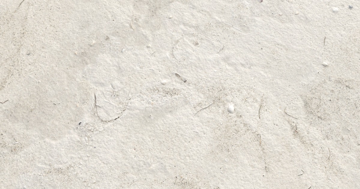 Ground terrain beach sand PBR 2 | 2D Textures & Materials | Unity Asset ...