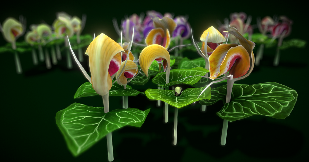 Flower Corybas Sinii | 3D Flowers | Unity Asset Store