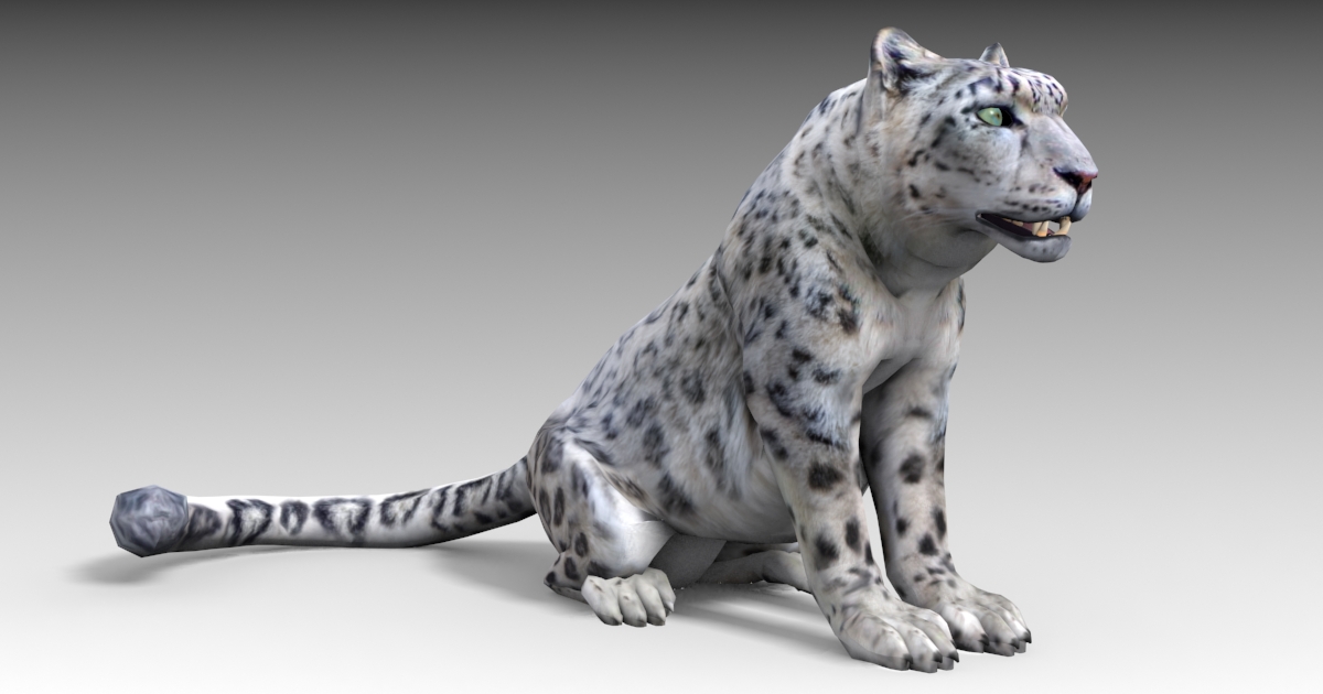 Snow Leopard | Characters | Unity Asset Store