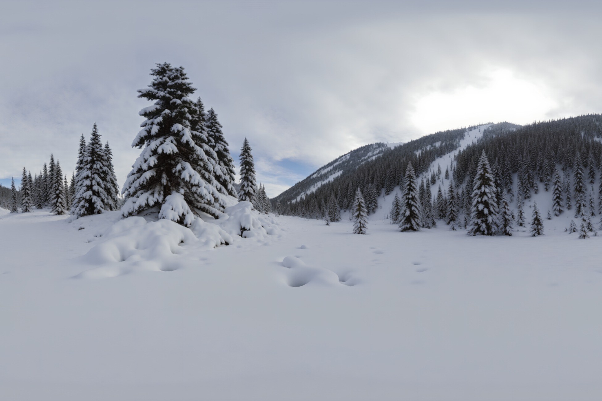 HDRI Winter Backgrounds | 2D Sky | Unity Asset Store