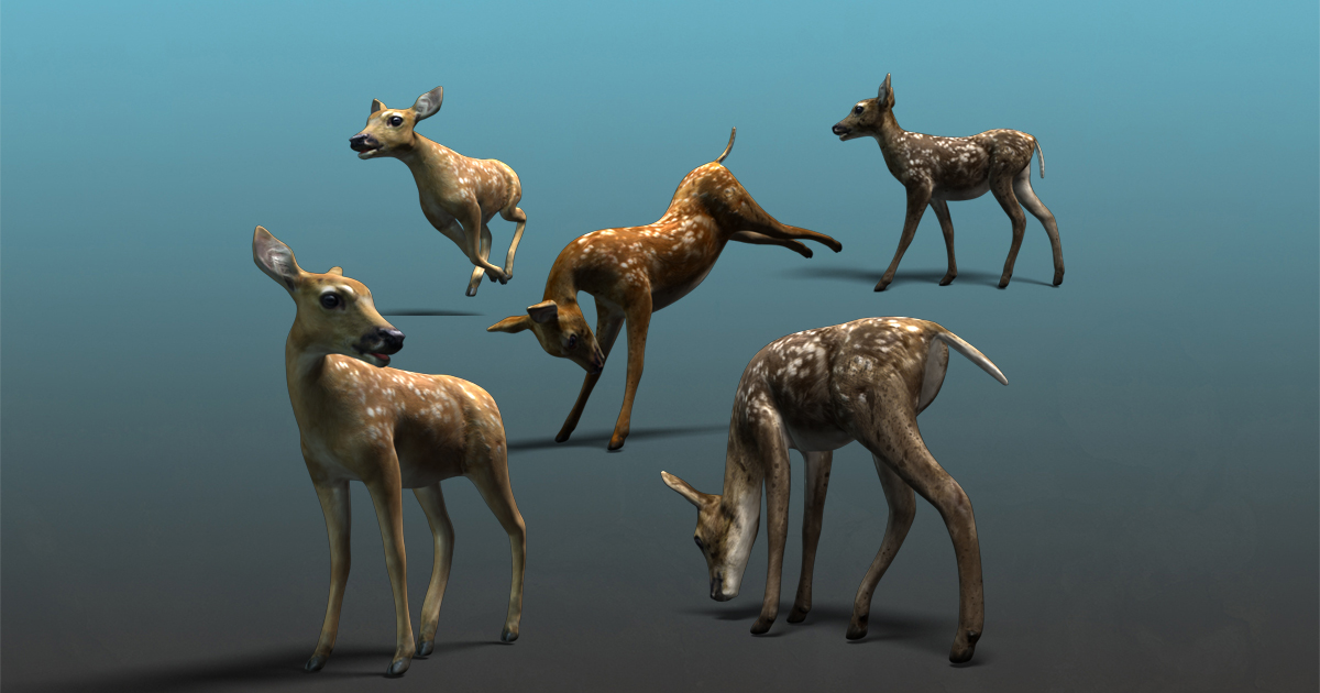Forest Animal - Deer Fawn (Young) | Characters | Unity Asset Store