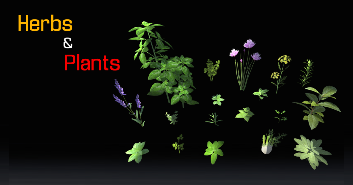 Herbs and Plants | 3D Vegetation | Unity Asset Store