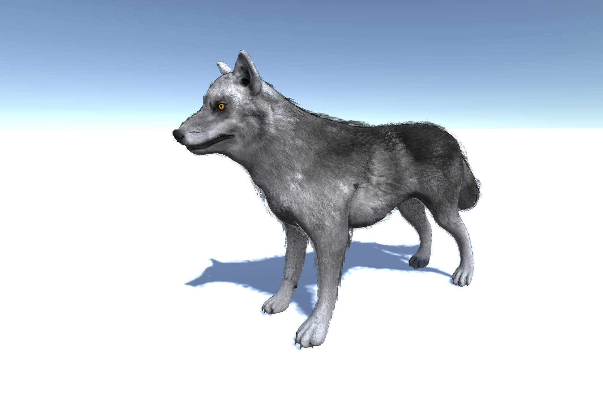 Grey Furry Wolf | 3D 동물 | Unity Asset Store