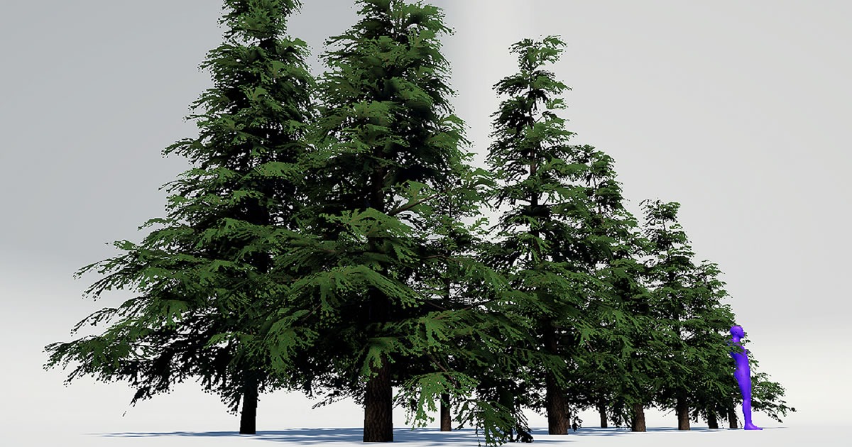 Gen05FirTree01 | 3D Trees | Unity Asset Store