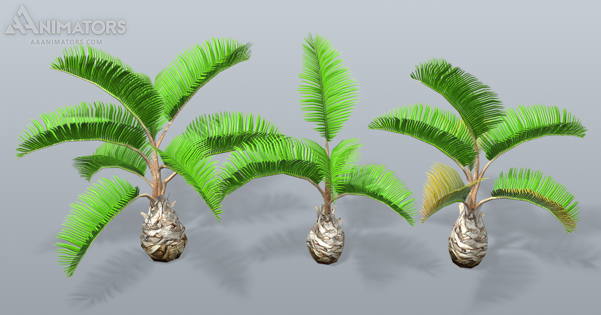 Low Poly Palm Trees 01 | 3D Trees | Unity Asset Store